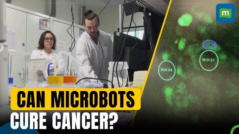 How Seaweed Microbots may revolutionise cancer treatment: Insights from ...