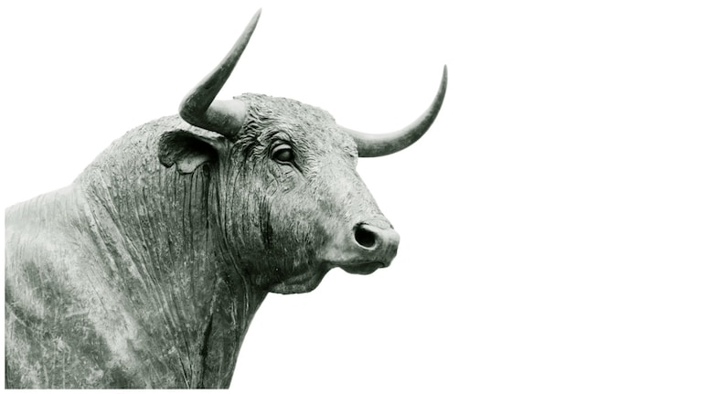Bull enters mobile shop in Delhi, shopkeeper climbs up wall. Viral video