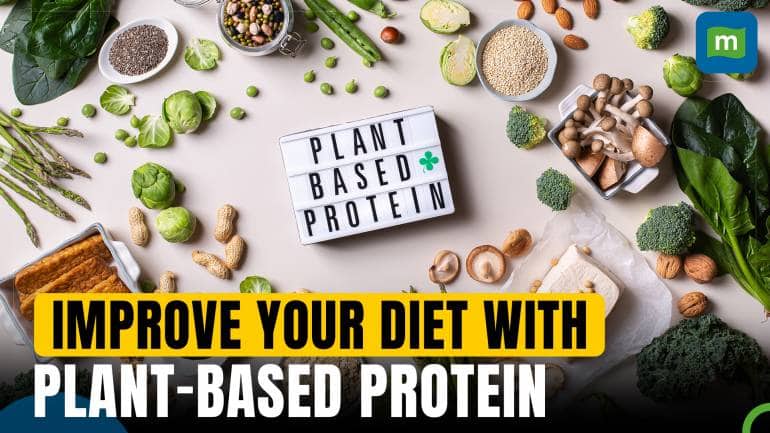Want to improve your daily diet? Go for these plant-based protein options