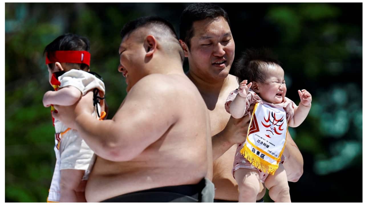 100 infants face-off at Japan's 'crying baby sumo' festival. All about ...