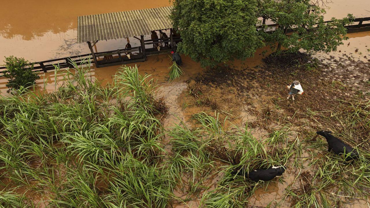 Rains, mudslides kill 29 in southern Brazil's 'worst disaster'