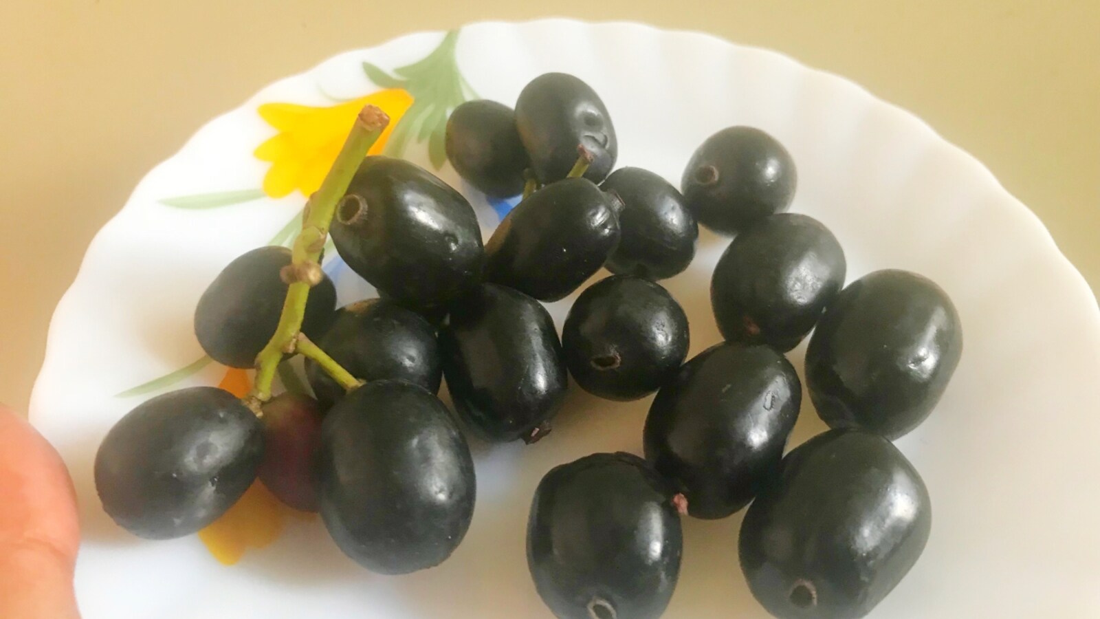 Kala Jamun Fruit Jamun Tree: Facts, Benefits, How To Grow & Care In