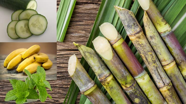 10 refreshing foods to keep your body cool in summer