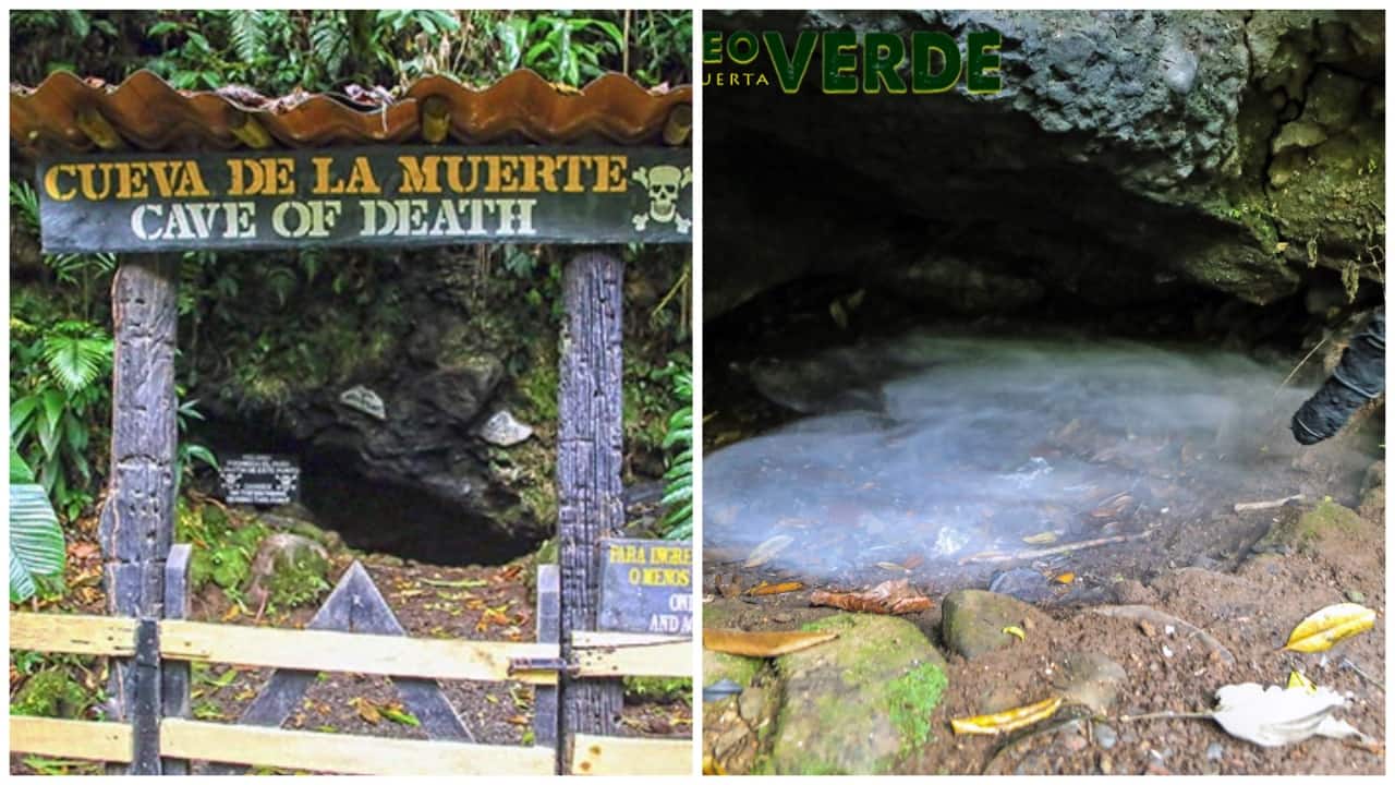 This 'cave of death' kills everything, including humans, that enters ...