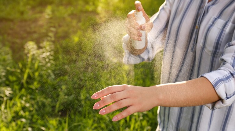 Insect bites and stings: Understanding, reacting and preventing insect ...
