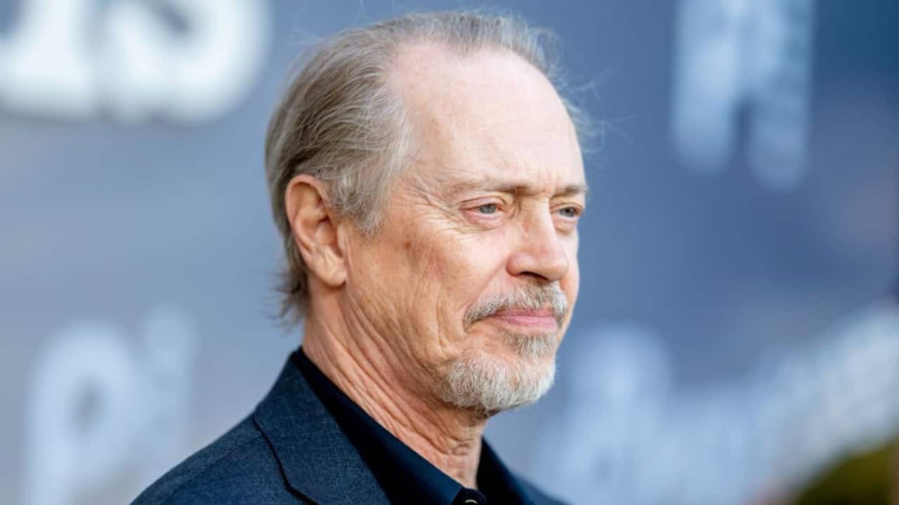 Steve Buscemi punched in the face in Manhattan, gets hospitalised