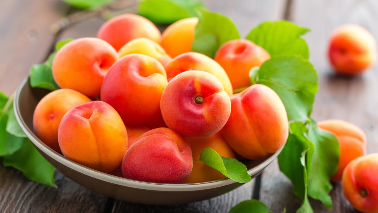 From Kargil to the Gulf: Ladakh’s prized apricots make debut in Saudi ...