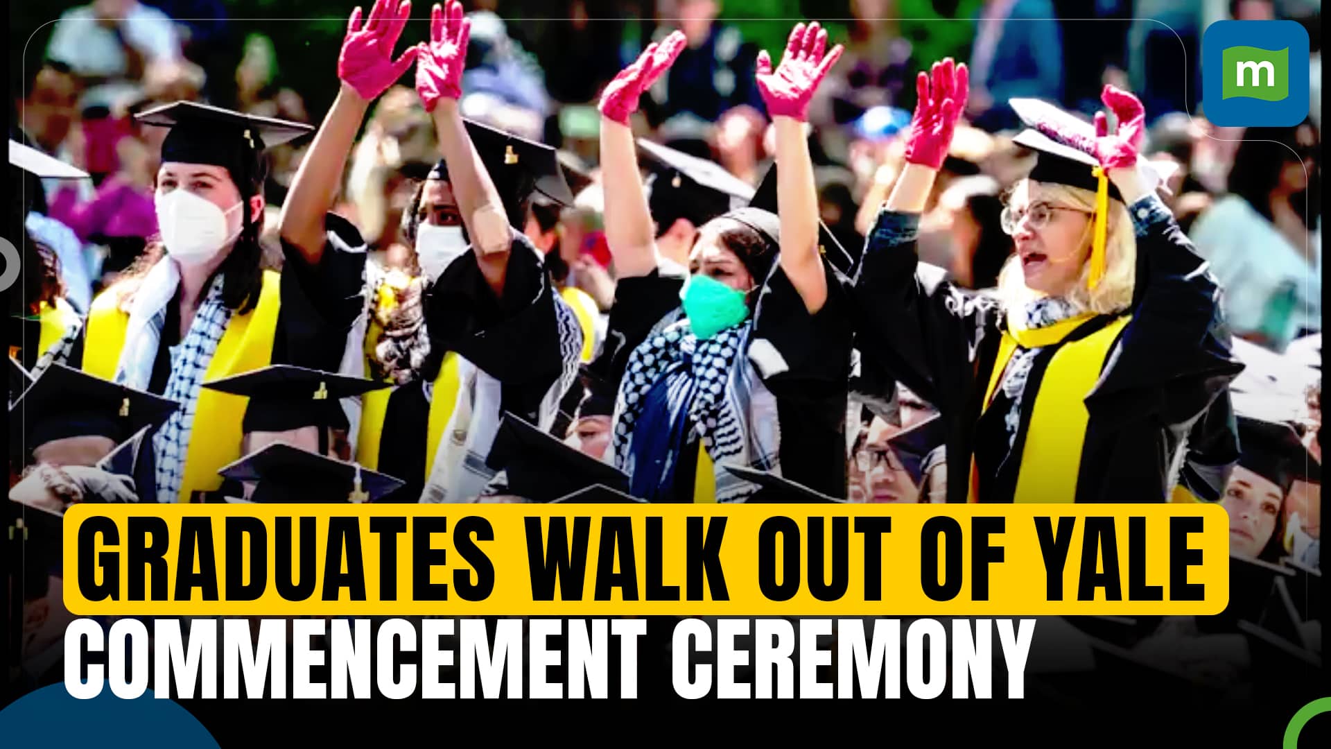 Yale Students Wear Red Gloves, Keffiyehs as Part of Pro-Palestine ...