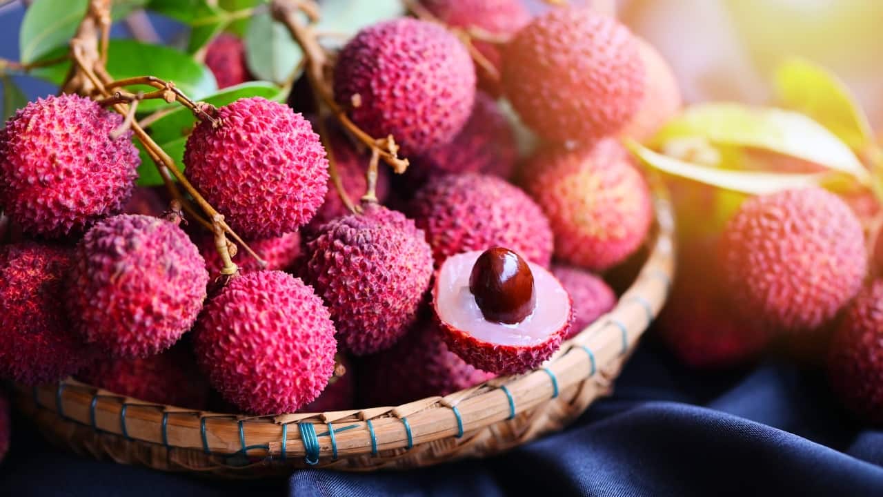 9 health benefits of lychee, a top-tier summer fruit for heart health ...