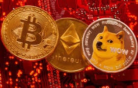 Iconic Shiba Inu dog 'Kabosu' of Dogecoin fame dies in Japan