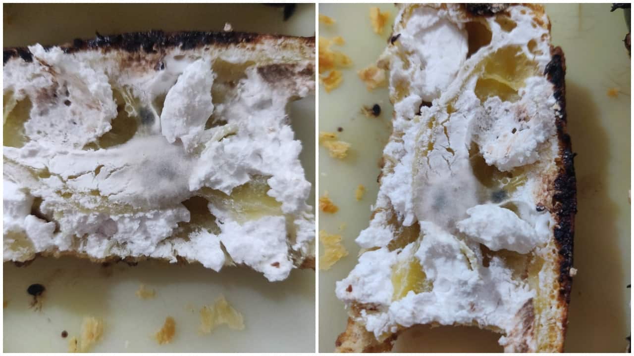 Hyderabad woman finds fungus in pastry from popular bakery, highlights ...