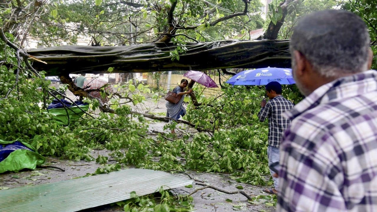 Cyclone Remal pounds India, Bangladesh: 16 dead, millions without power ...