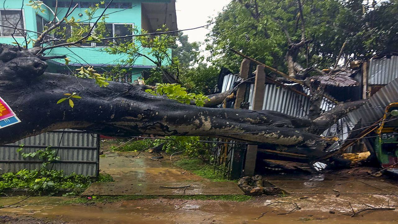 Cyclone Remal pounds India, Bangladesh: 16 dead, millions without power ...