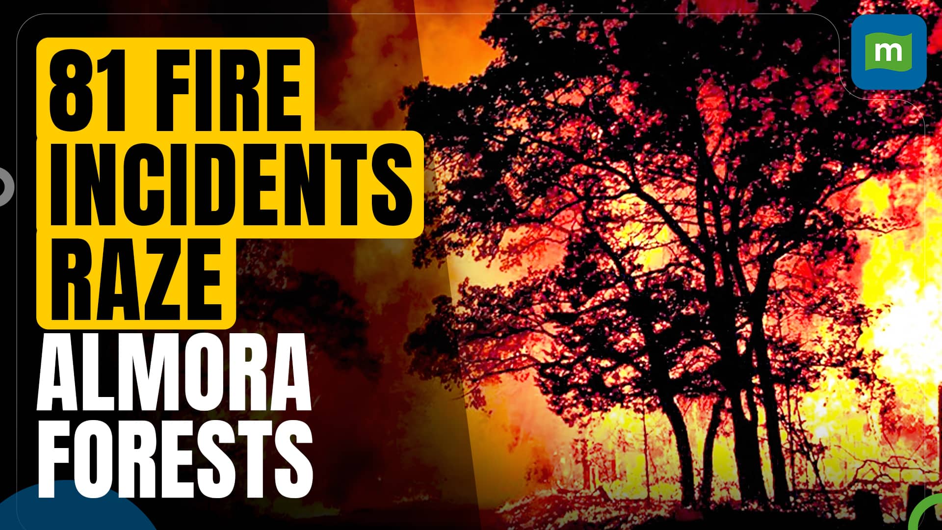 81 Fire Incidents Burn Down 119.6 Hectares Of Forest Land In ...