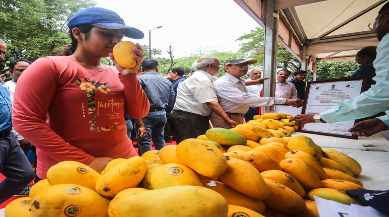 Mango tastes sour this summer as wholesale price sizzles at Rs 48.5 a ...