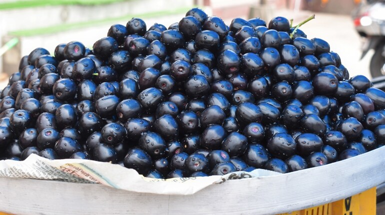 Health benefits of jamun: Boosts immunity, manages weight, control ...