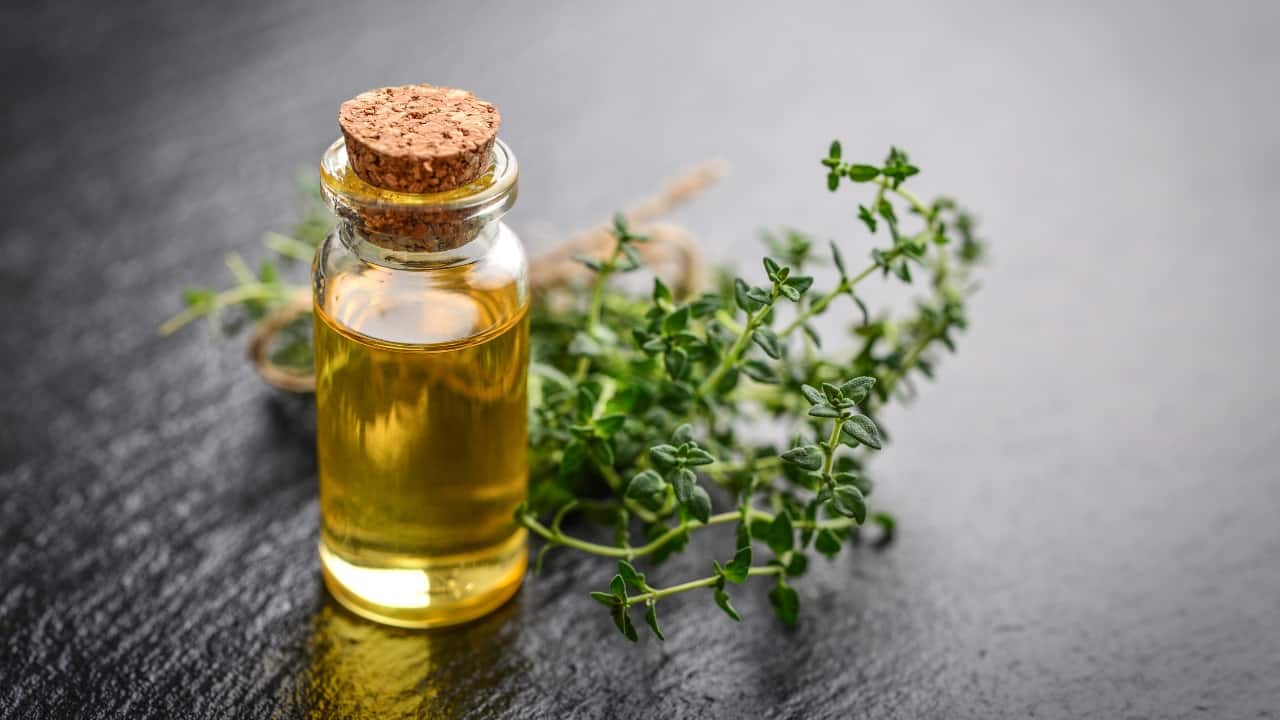 Thyme oil: Know how this oil is a natural fix for pain and beauty