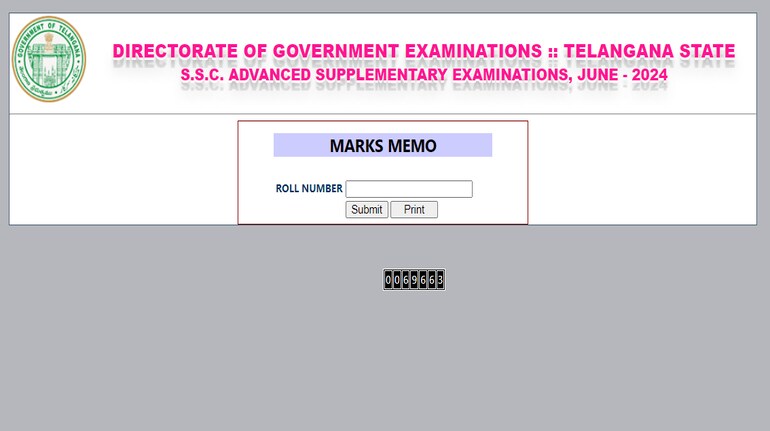 TS SSC Supplementary Results 2024 announced @ bse.telangana.gov.in; direct link here