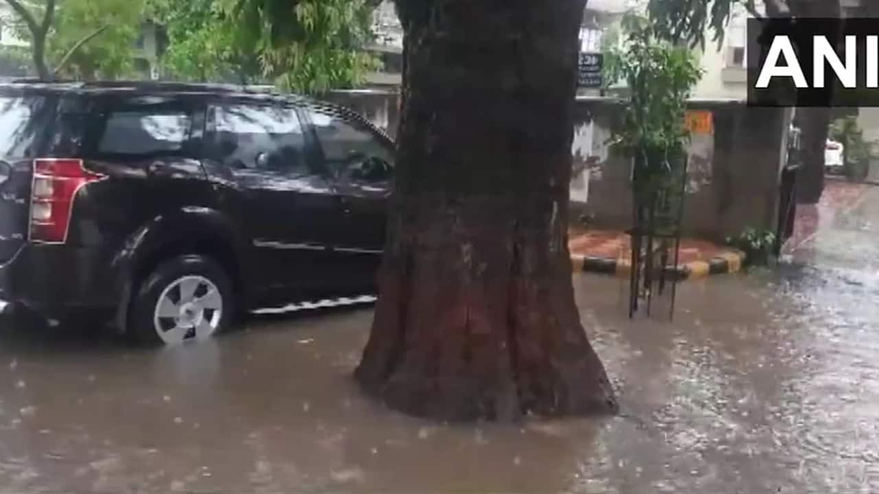 Heavy rains in many areas of Gujarat; Palsana in Surat receives over ...