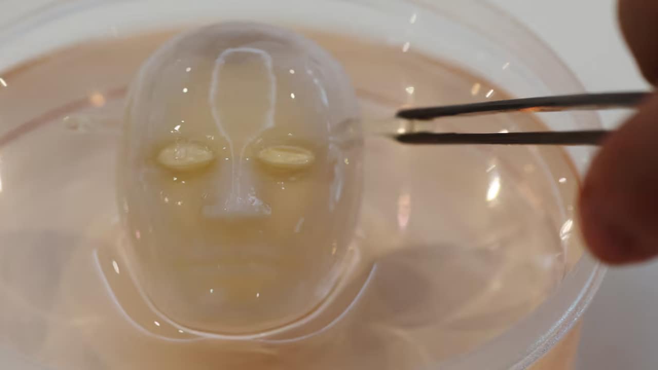 Japanese scientists create robot with living skin that can simulate a ...