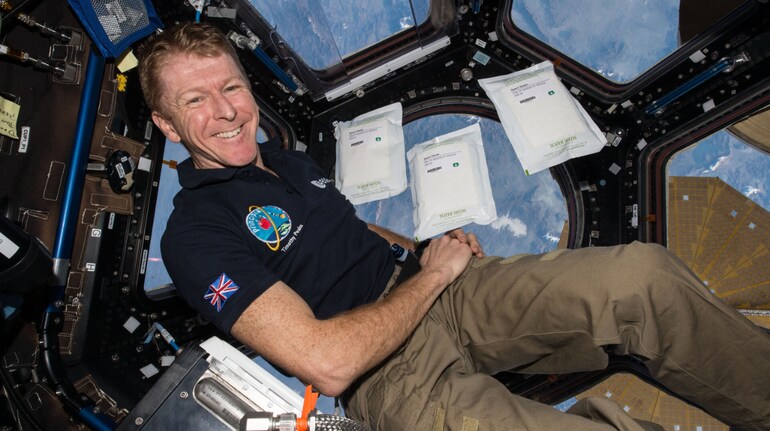 Sunita Williams and Butch Wilmore stranded on ISS are in no danger ...