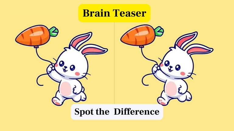 Brain Teaser: Can You Spot 3 Differences in These Pictures? Only the ...