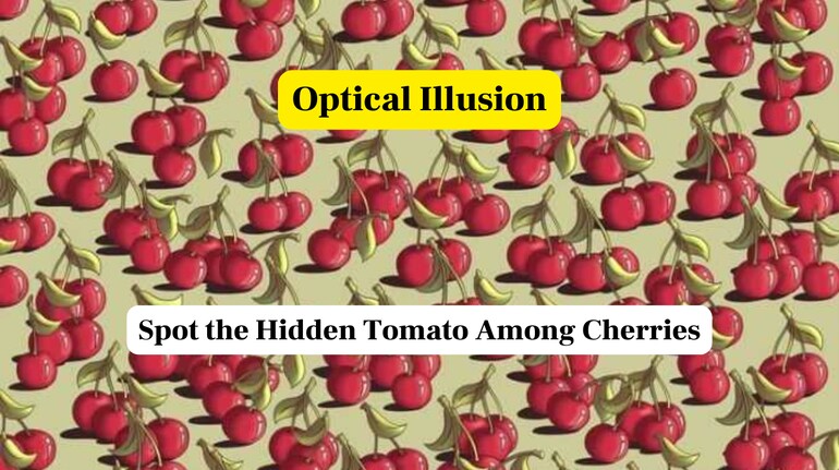 Optical Illusion IQ Test: Spot the Hidden Tomato Among Cherries