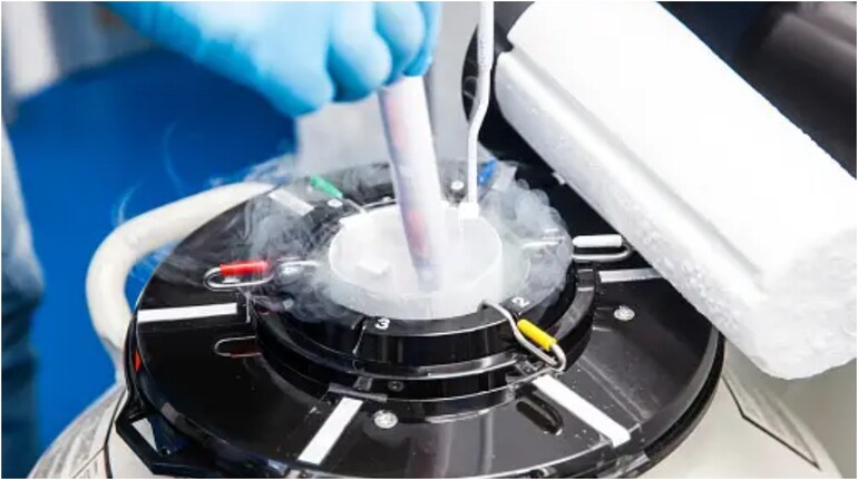 German startup claims its possible to freeze dead body, revive it in ...