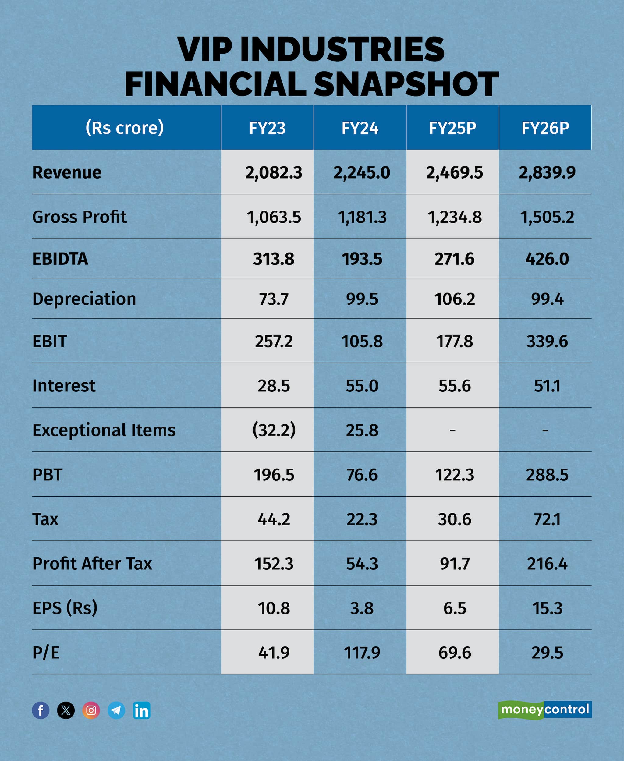 VIP Industries: Can investors ride on the early green shoots?