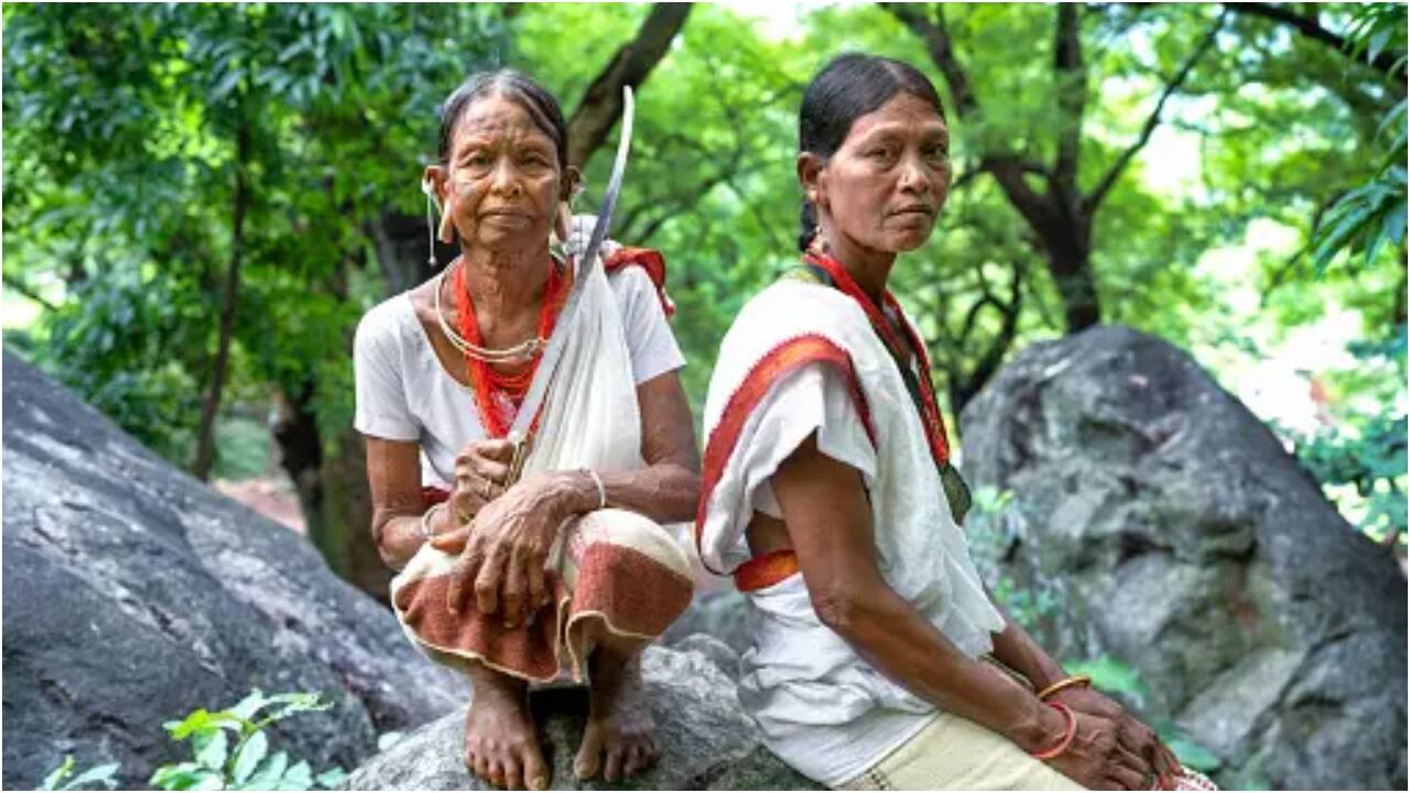 World Tribal Day 2024: Date, history, significance, celebration