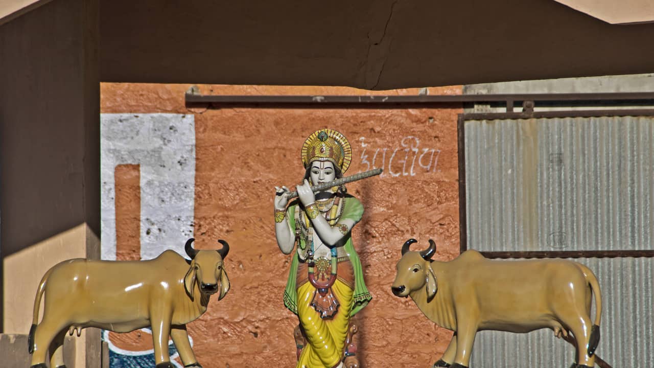 Bol Choth 2024 Date and Time: Know the Significance of Gujarati ...