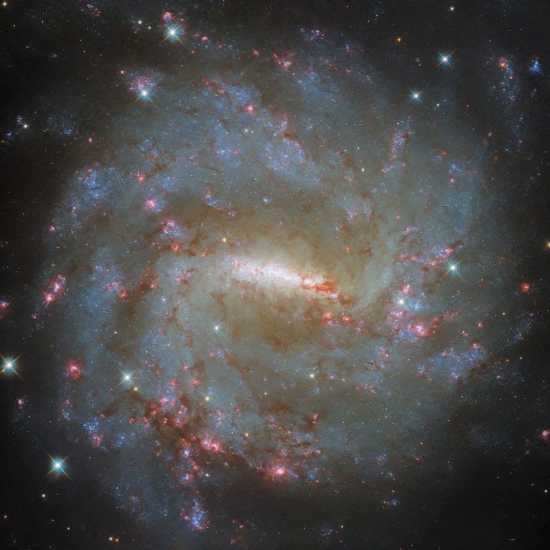 Hubble telescope captures a detailed image of a barred spiral galaxy 69 ...