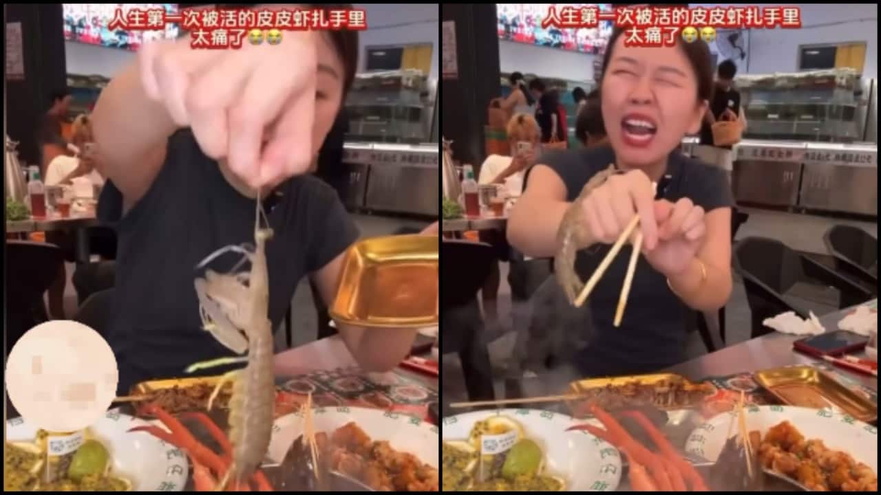 Live shrimp escapes boiling hot pot, spears diner's arm at Chinese ...