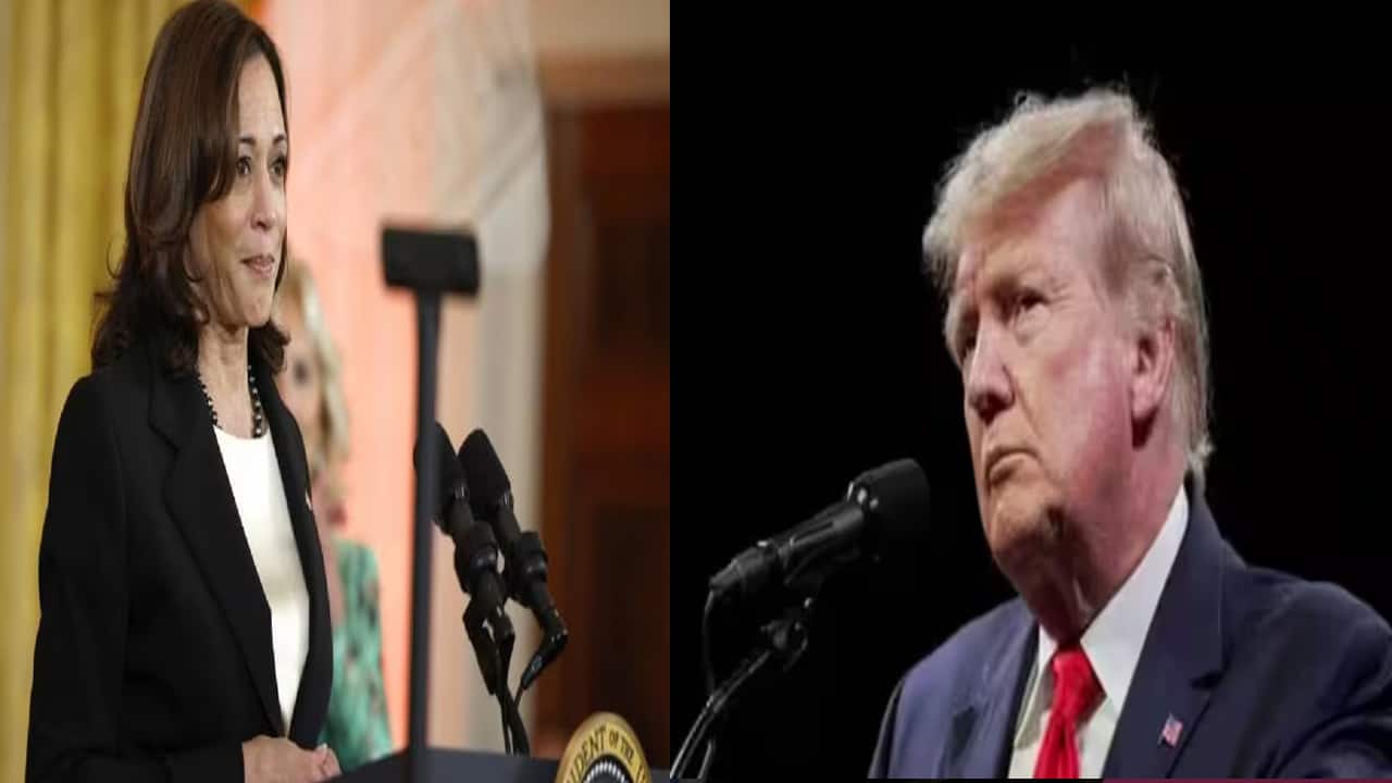 US Presidential Polls: Harris-Trump debate becomes 2024 election's ...