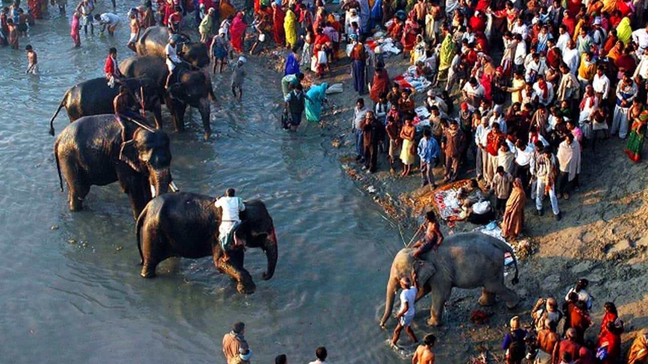 9 must-see Indian fairs that celebrate country's cultural diversity