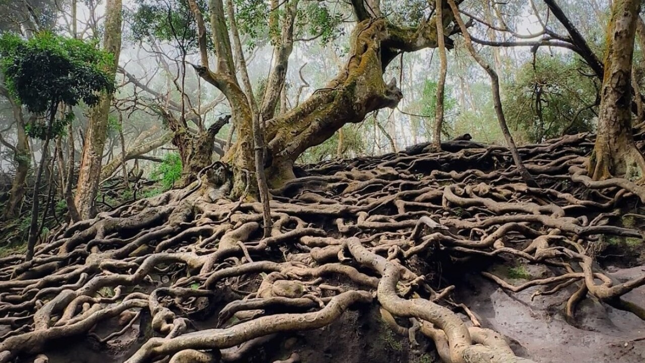 The Mystery Behind Guna Caves: Why it's called 'Devil's Kitchen ...