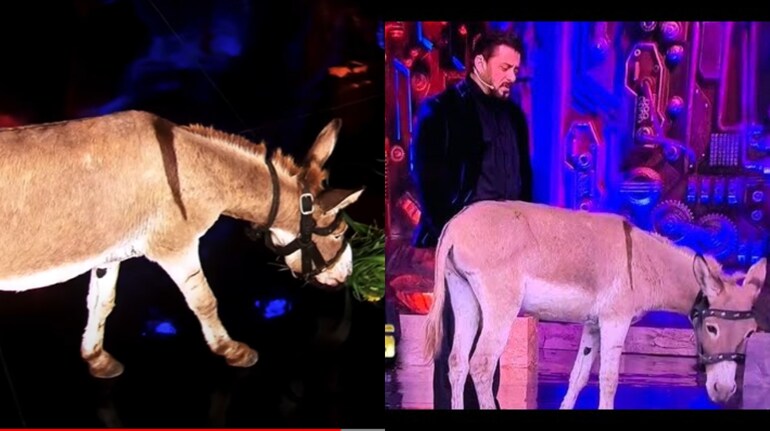 PETA sends a letter to Salman Khan for using donkey on Bigg Boss 18 ...