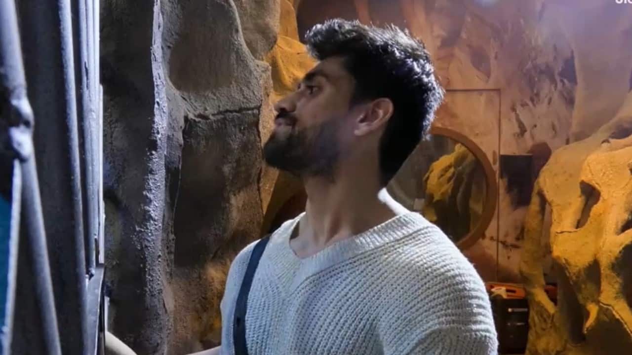Bigg Boss 18: Avinash Mishra not evicted from house and is in charge of ...