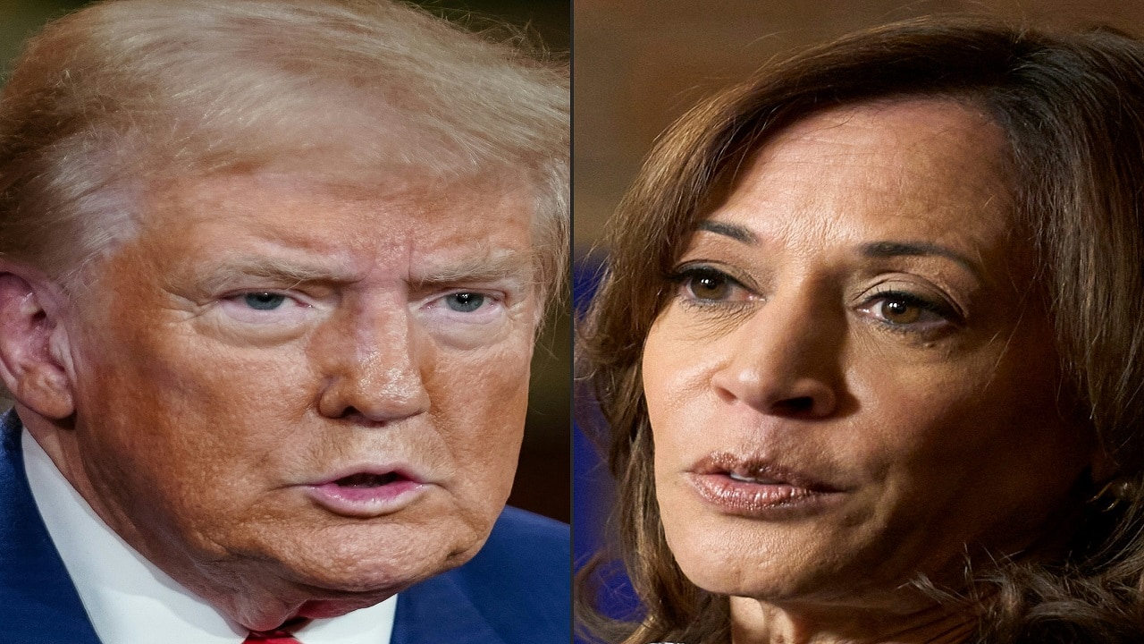 Harris vs Trump: Key dates in US Presidential election 2024