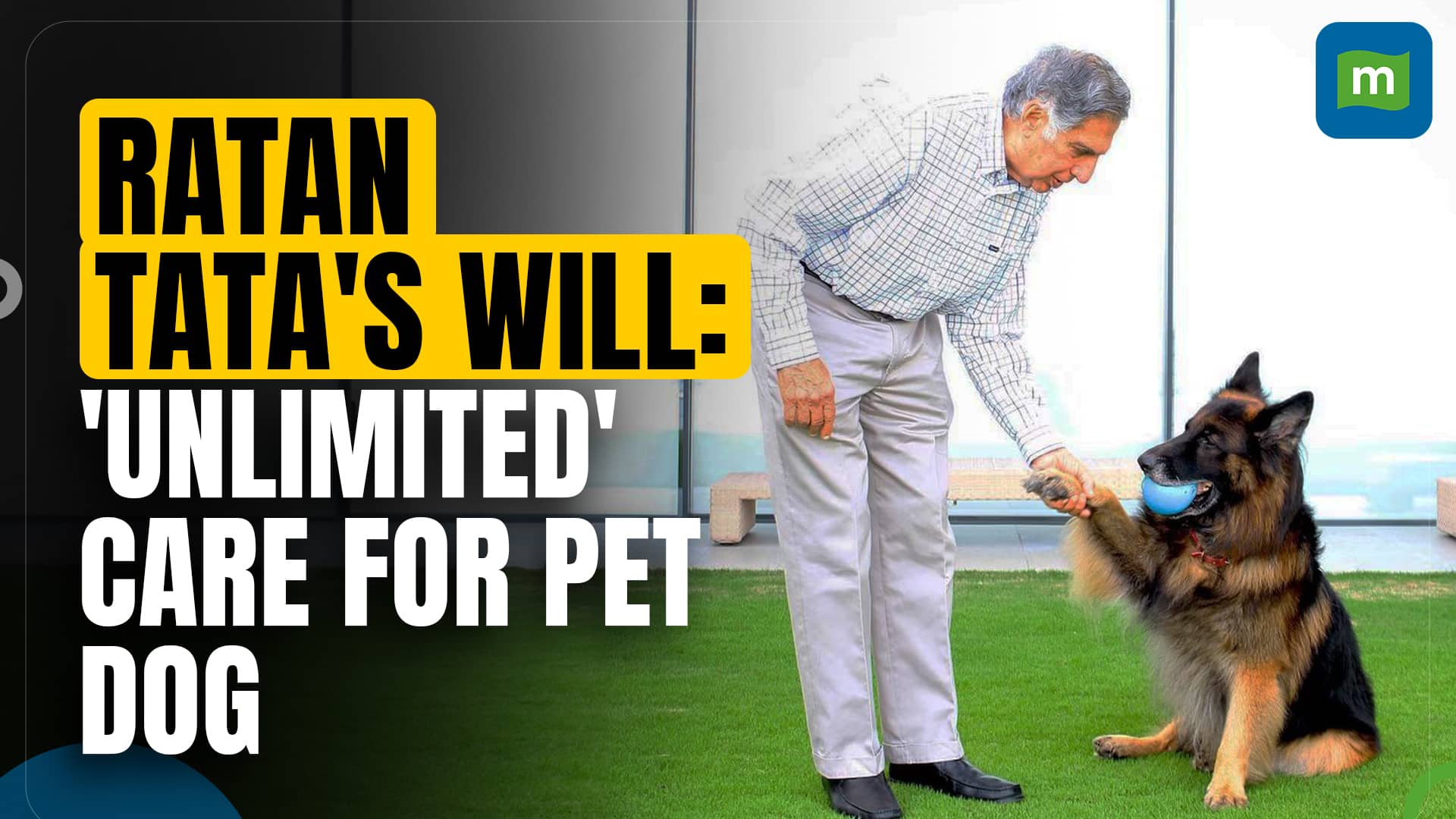 Ratan Tata’s will ensures lifelong care for dog Tito, allocates wealth ...