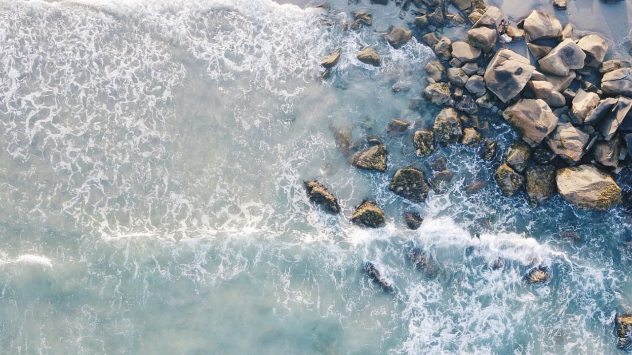 Mysterious lumpy white globs wash up on the shores of Canada, stump ...