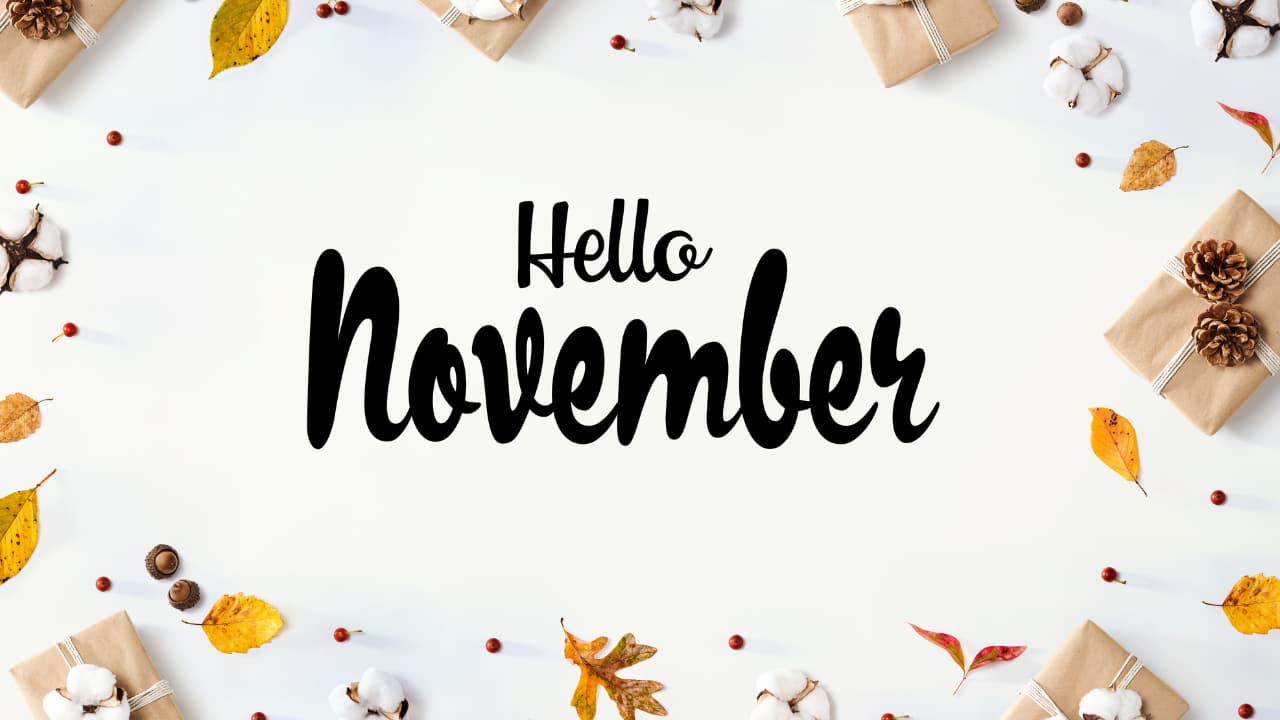 Important Days in November 2024: List of National and International ...