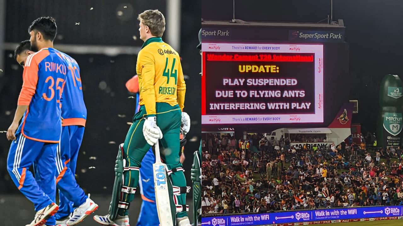 IND vs SA 3rd T20I: After bees, flying ants halt play — check 3 other ...