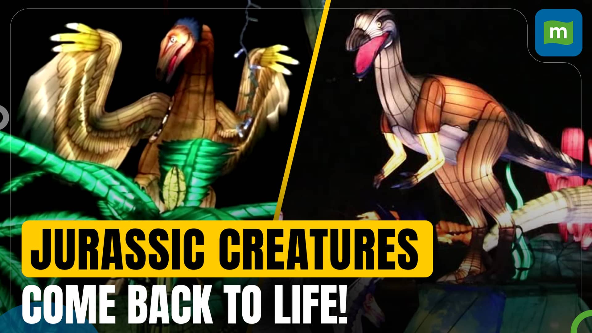 Paris light display brings dinosaurs, primitive birds and giant sea ...