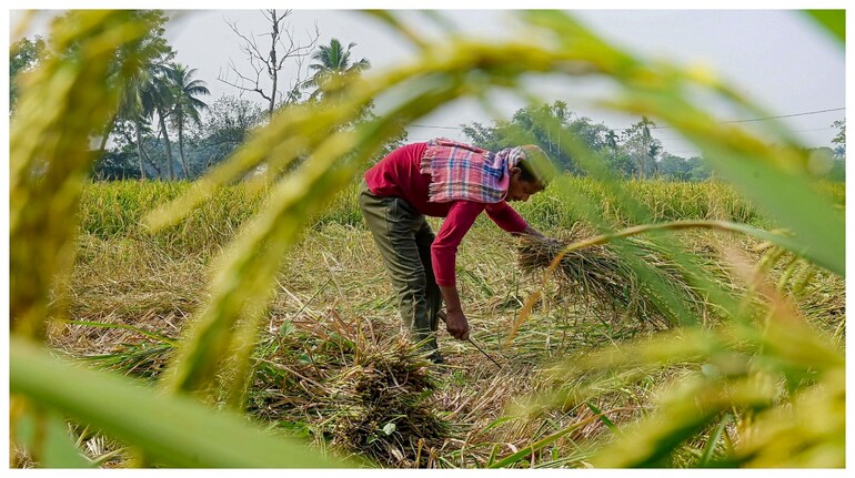 National Mission on Natural Farming: Centre's initiative to promote ...