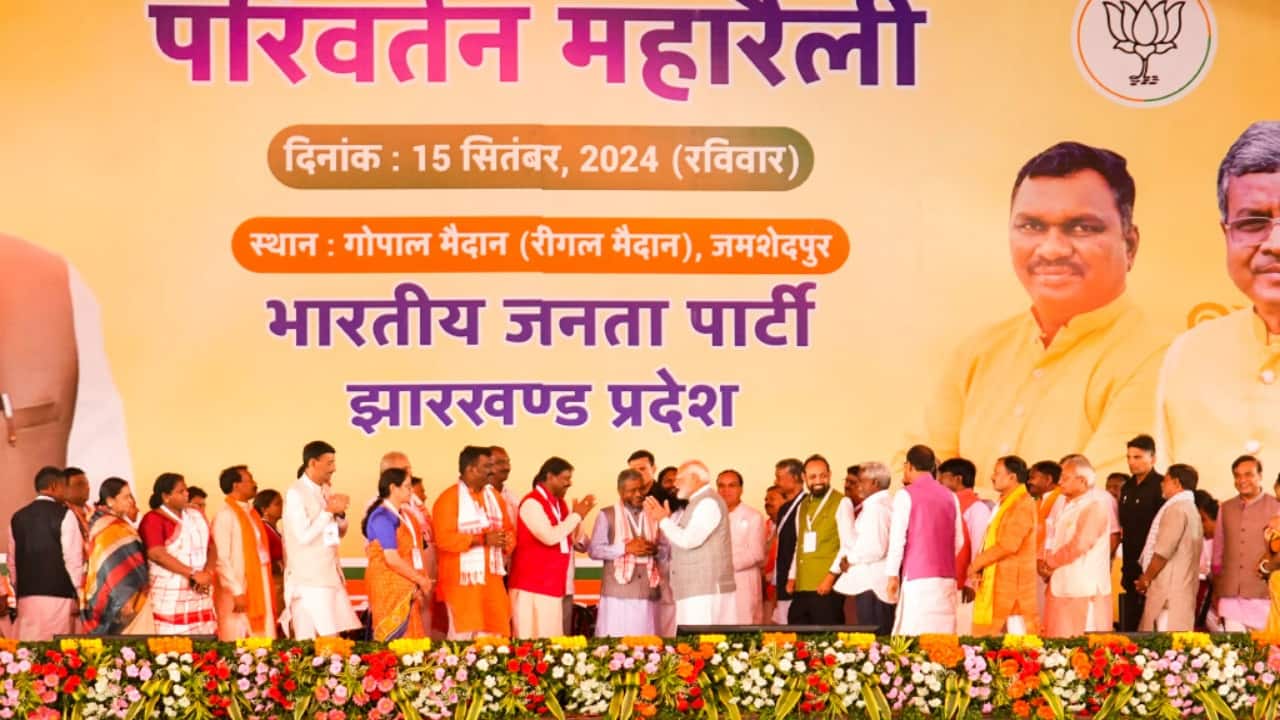 'Over dependence' on national leaders to 'internal sabotage': How BJP ...