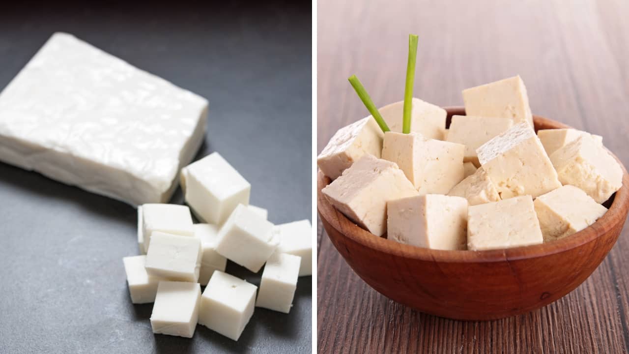 Paneer vs tofu: Which is healthier for weight loss?