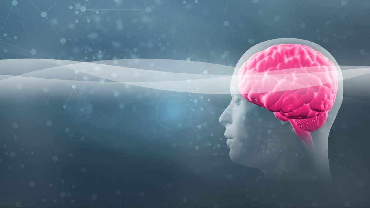 How fast can human brain think? You might say very quick, but a new ...