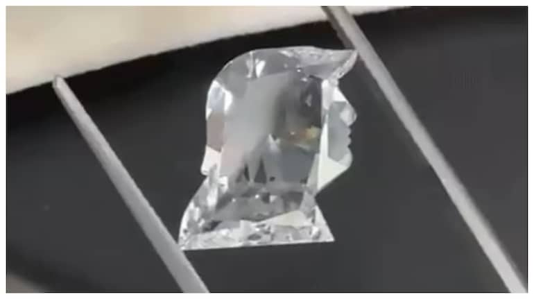 Surat businessman creates lab-grown diamond replica of Donald Trump