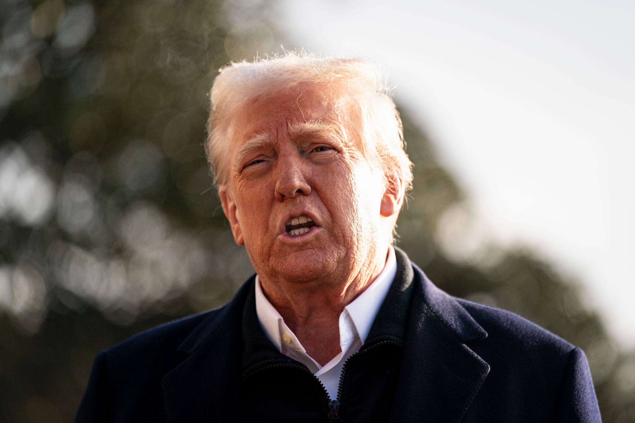  Preposterous Trump Administration Freezes Foreign Aid Halts 50